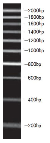 开云(中国)Kaiyun·平台登录入口-官方网站